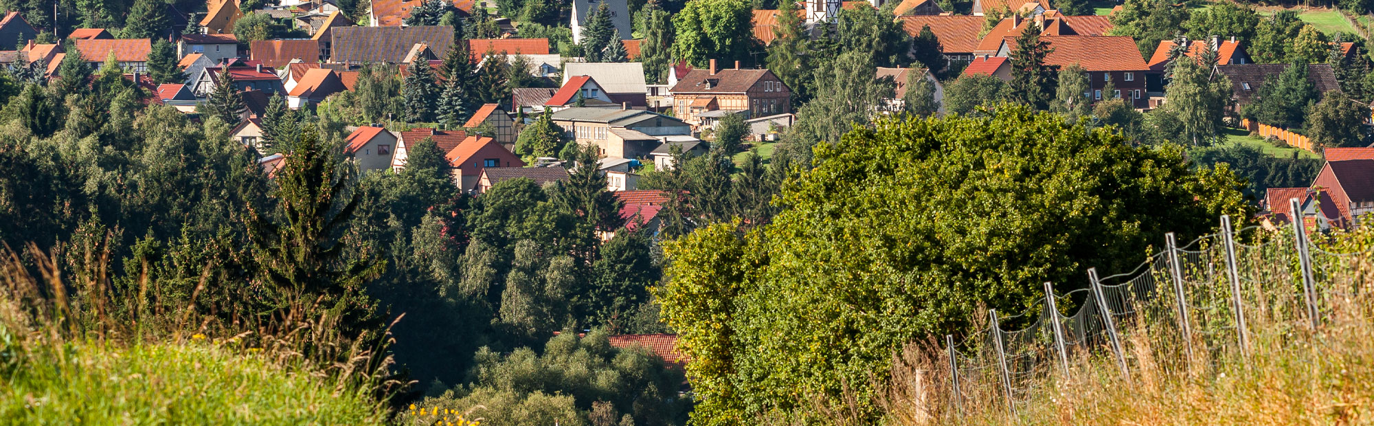 Harzgerode: Straßberg – Grube "Glasebach" und Bergbautradition